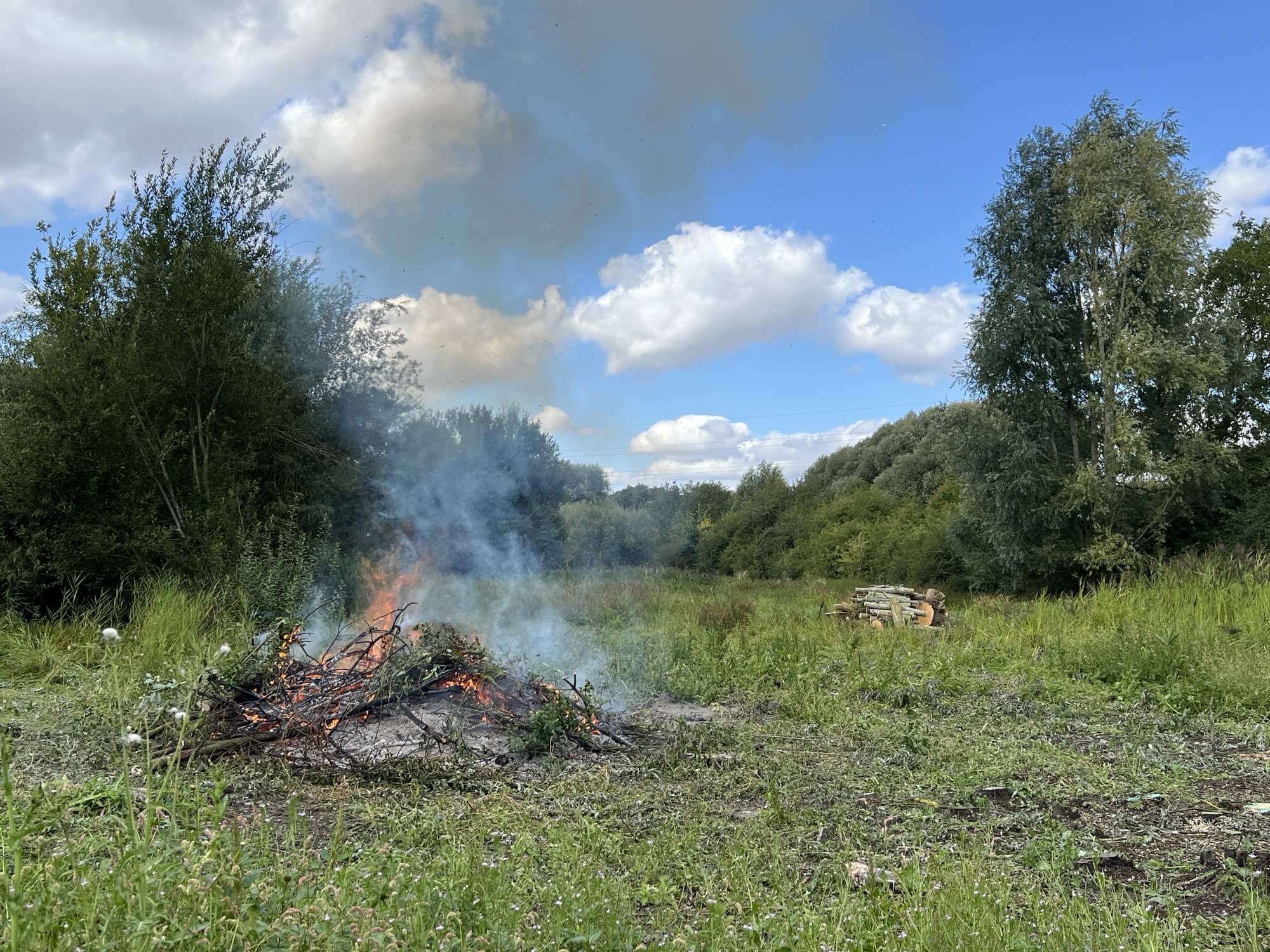 Daft Mumblings | A nature and rural blog